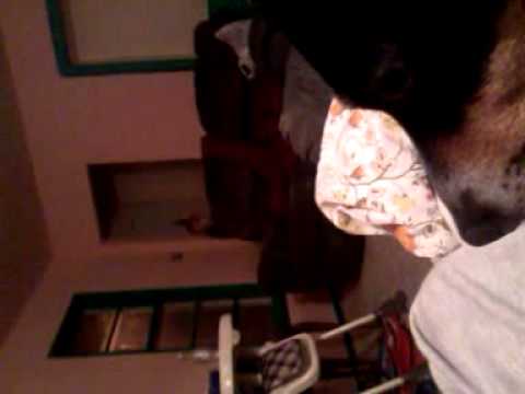 Fun with dinobitch & dayner wayner