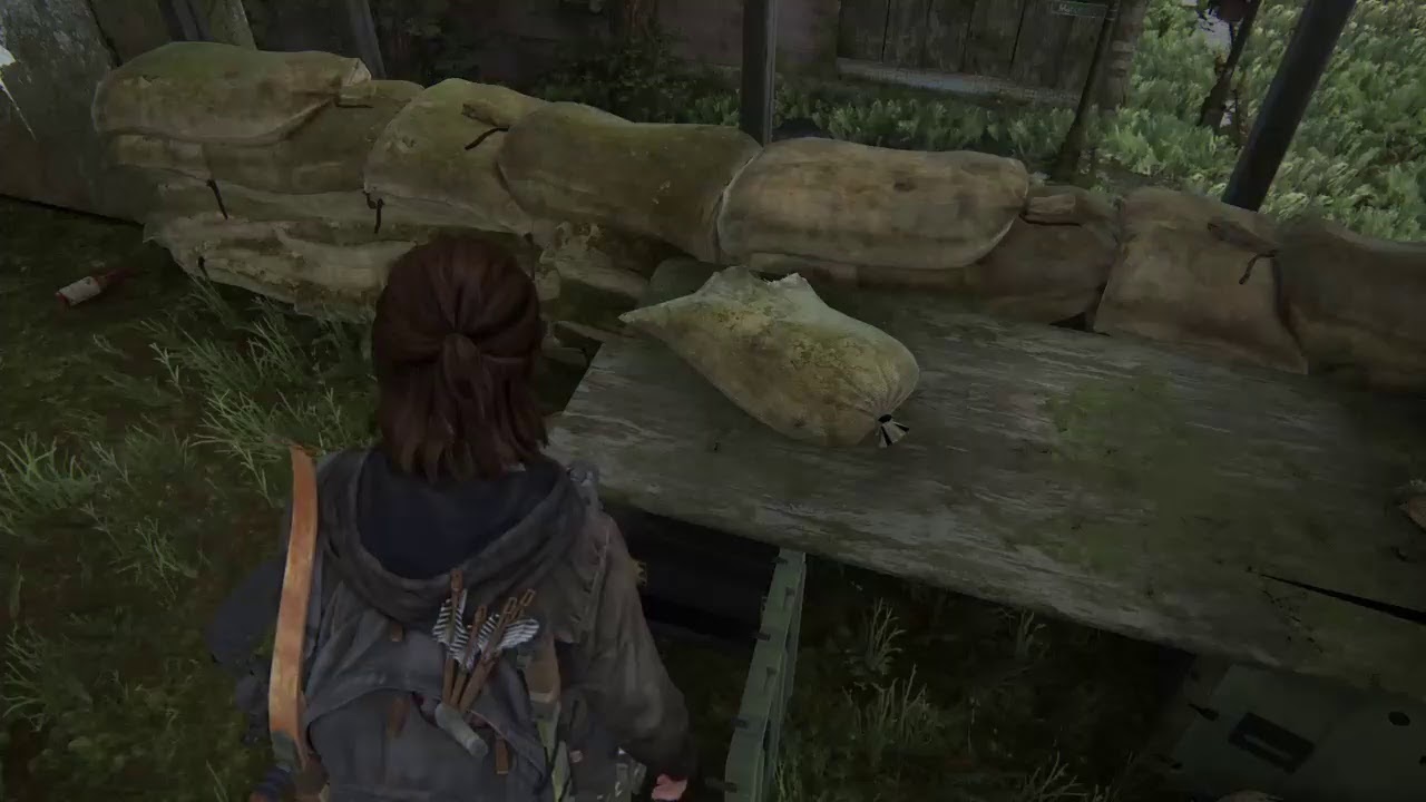 TLOU 2 || jj - YouTube