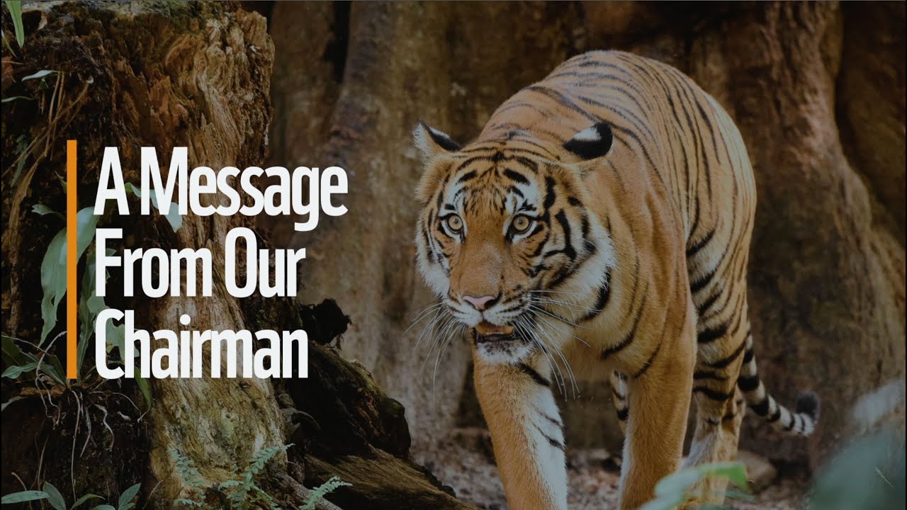 Global Tiger Day 2020 Message from WWF-Malaysia Chairman - YouTube
