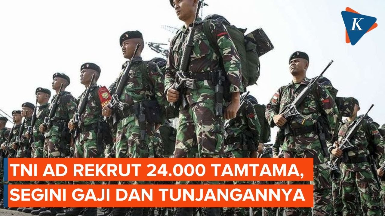 TNI Rekrut 24.000 Tamtama, Berapa Gaji dan Tunjangannya? - YouTube