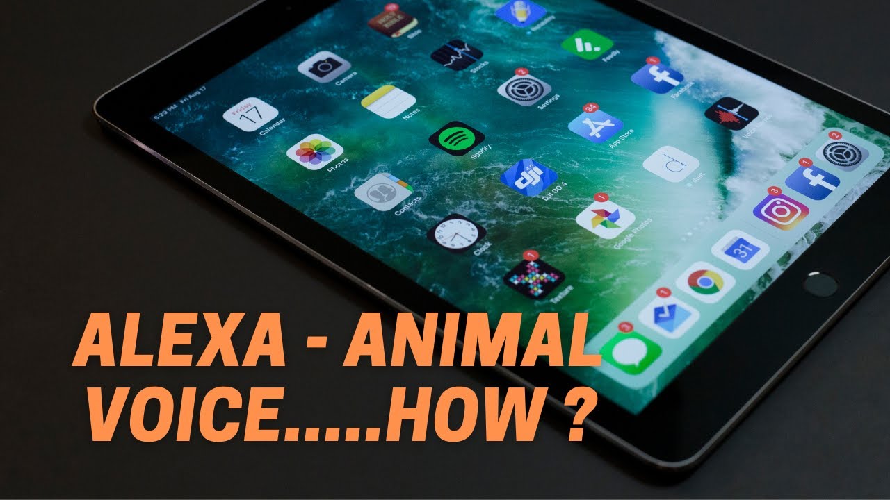 If you want to hear animal voices in alexa, just ask.......... - YouTube