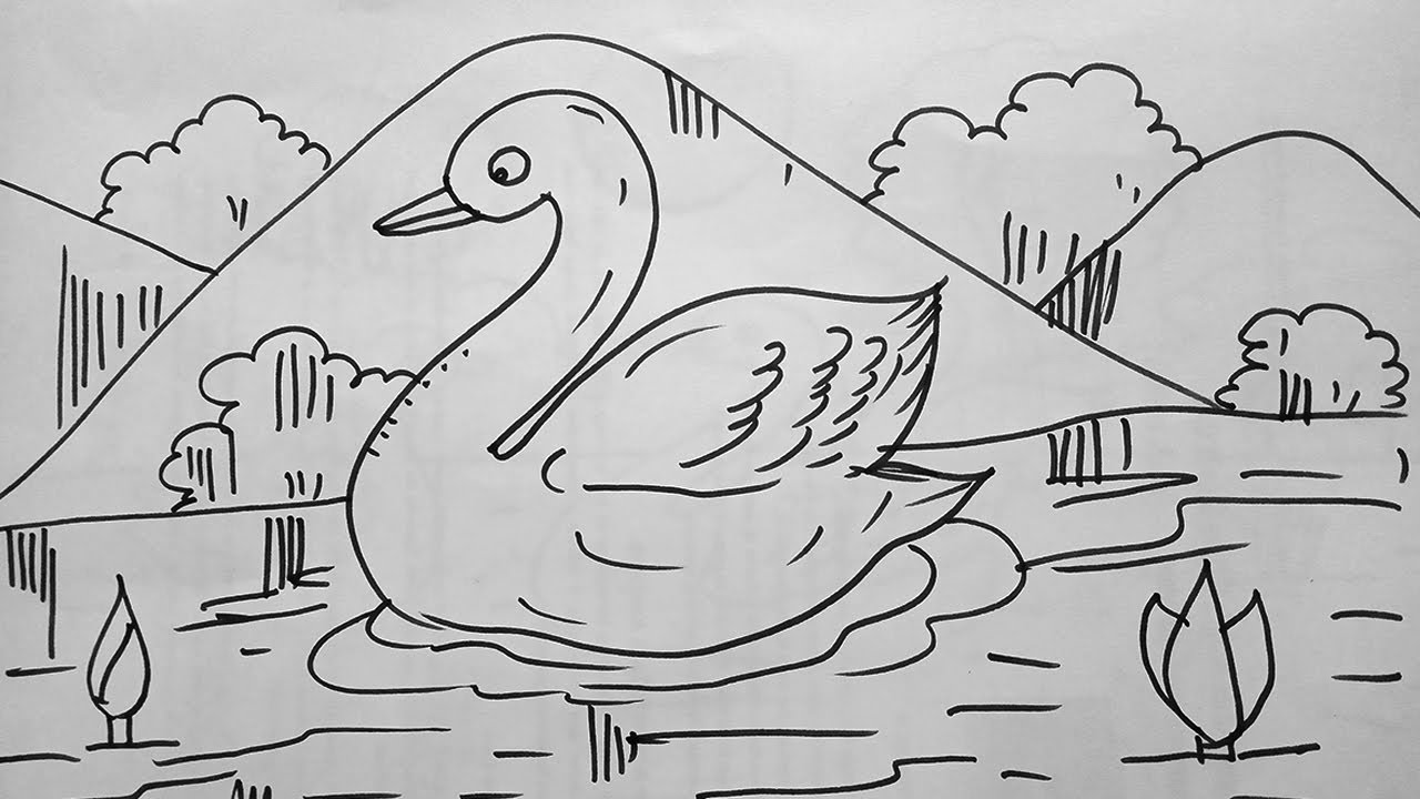 Swan drawing Scenery with river - Hill -Tree scenery with sketch pen ...