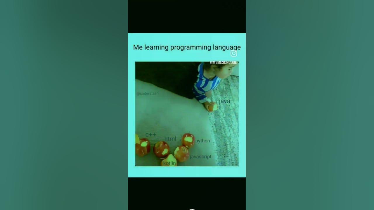 Me learning basics and skipping every language......... #coding# ...