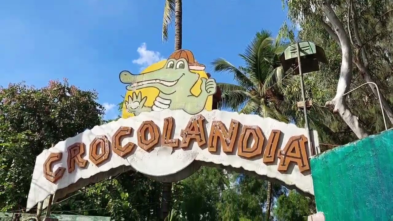 Crocolandia with Family - YouTube