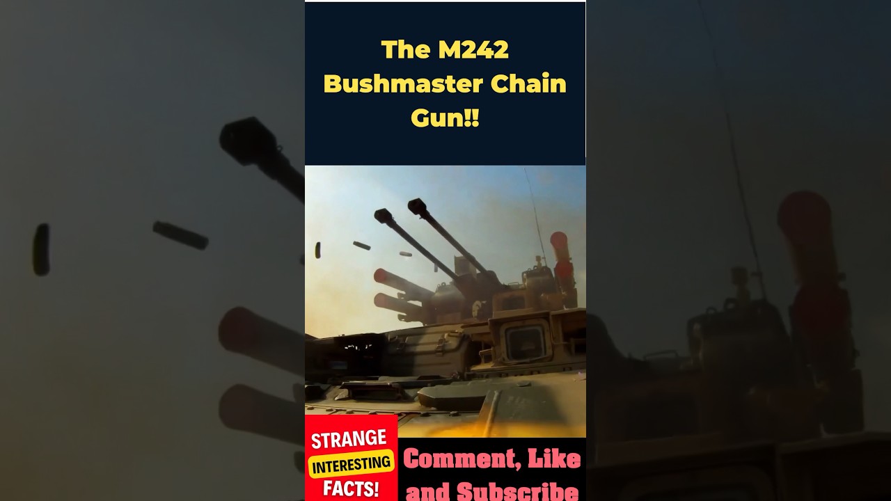 How The M242 Bushmaster Chain Gun Turns Enemies into Swiss Cheese: A ...