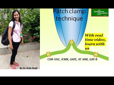 Patch Clamp Technique - Action Potential - YouTube