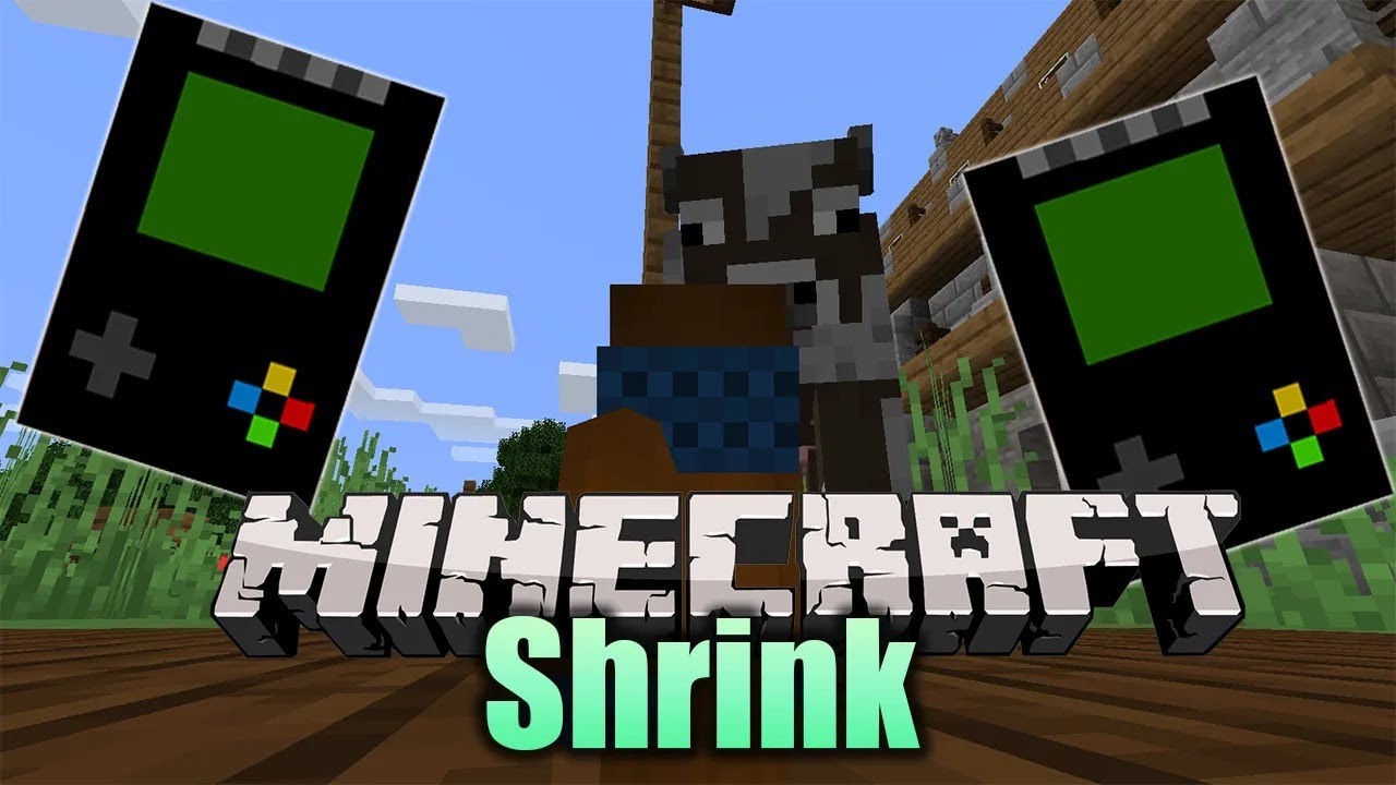 Minecraft, but I installed the SHRINK mod - YouTube