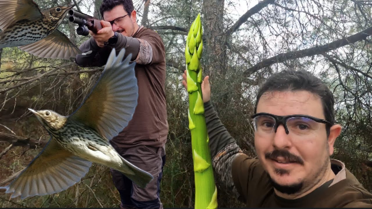From Akamas to Nicosia Thrush Hunting and Wild Asparagus Gathering ...