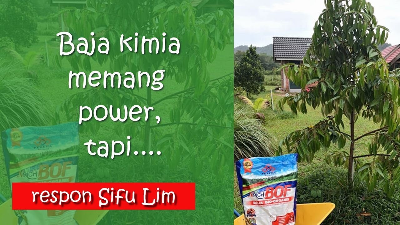 Baja kimia memang mantapkan pertumbuhan durian, tetapi ... - YouTube