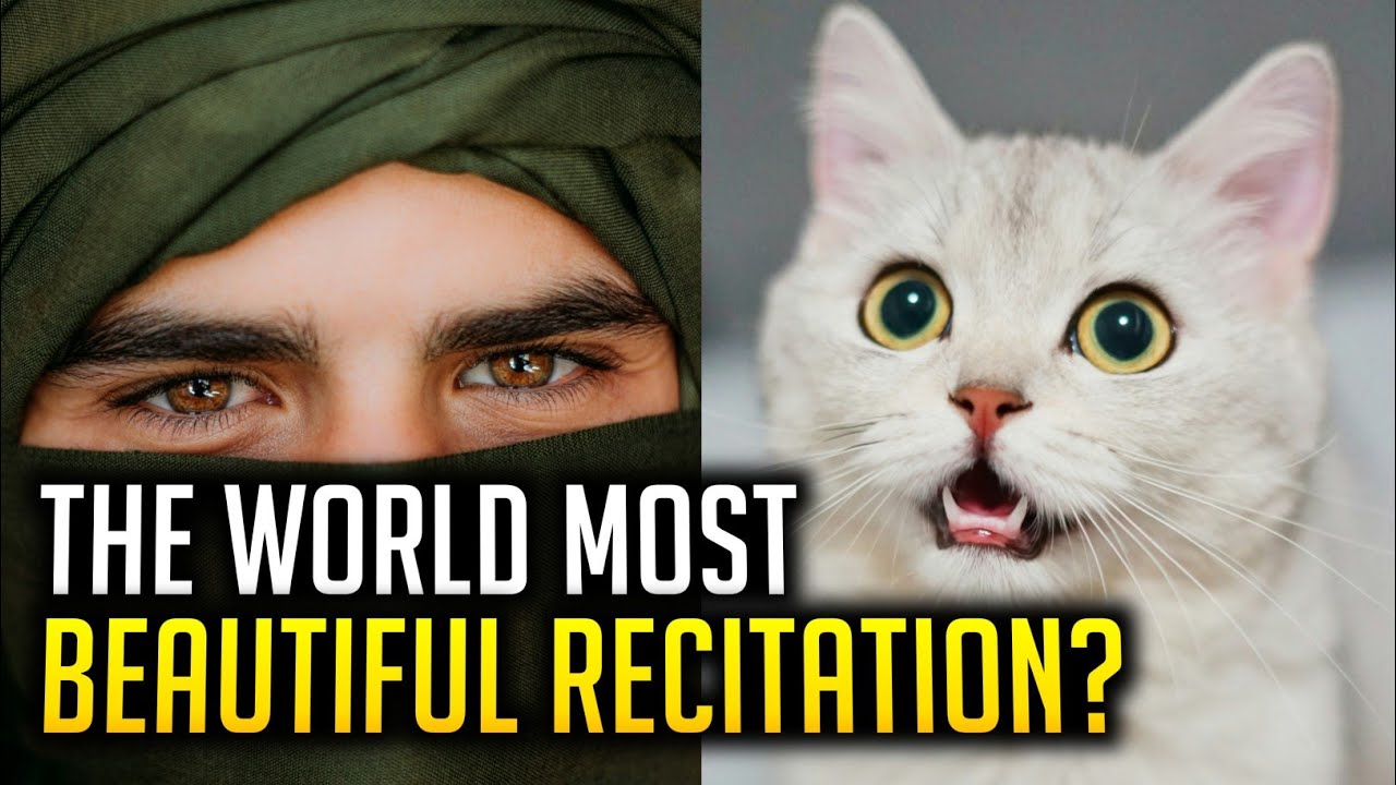 The Most Beautiful Quran Recitation Ever? - YouTube