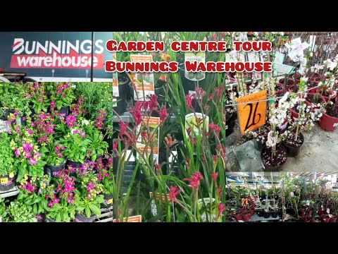 Bunnings Warehouse Garden Centre tour in Spring | Bunnings Warehouse ...