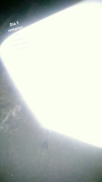 18 de diciembre de 2024 - YouTube