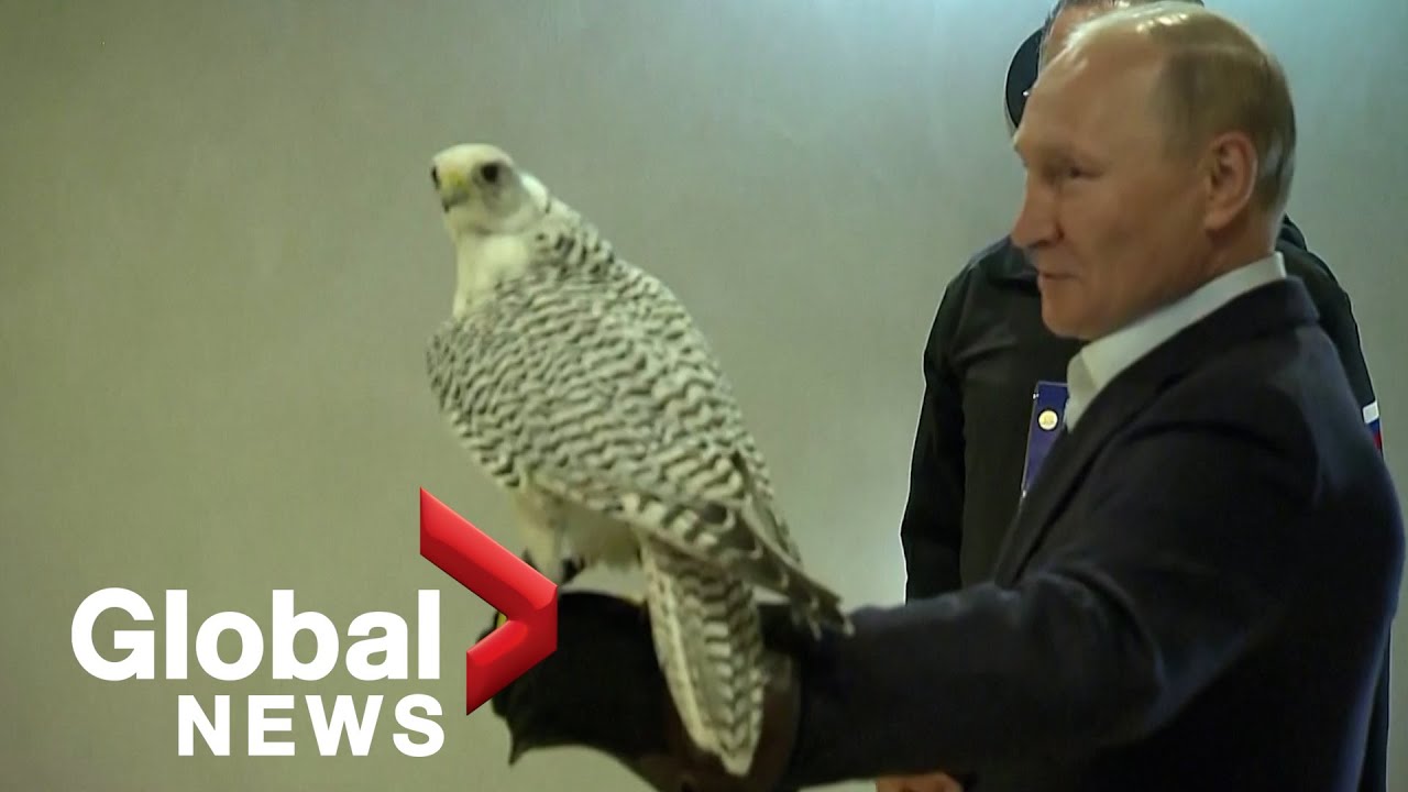 Putin tries falconry, oversees joint military drills in Russia's Far ...