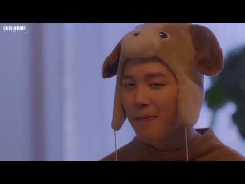 [BTS / 방탄소년단] House of Army | Pied Piper