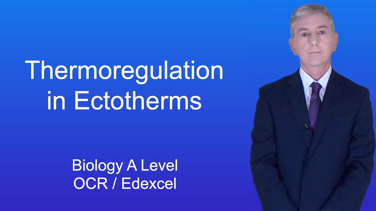 A Level Biology Revision (Year 13) "Thermoregulation in Ectotherms ...