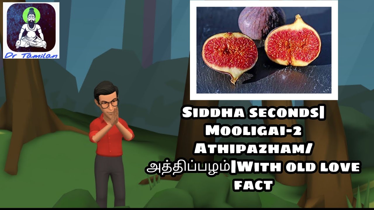 Siddha seconds| Mooligai-2 |Athipazham/ அத்திப்பழம்|old love fact | Ft ...