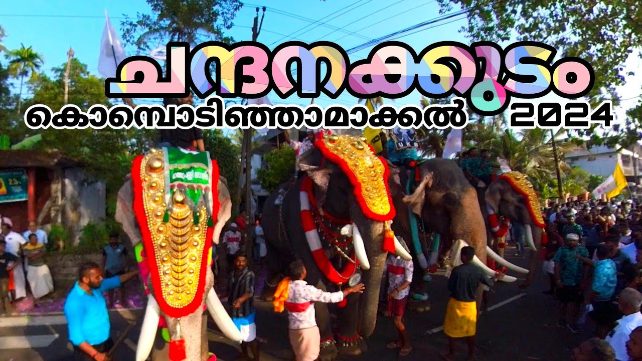 Kombidinjamakkal Chandanakudam 2024 - YouTube