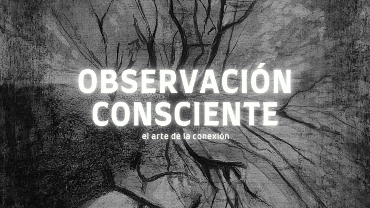 Observación Consciente - YouTube