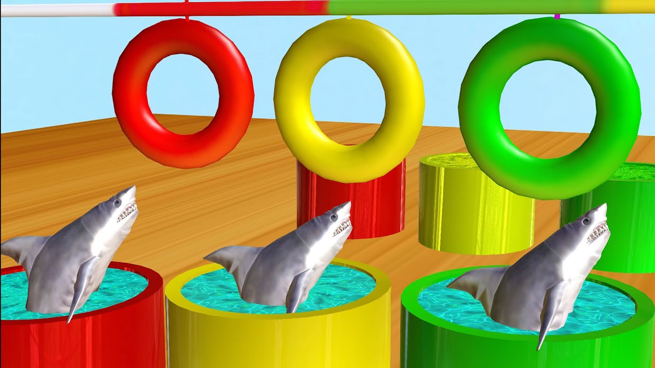 Funny Animal Animation Videos of Cute Sharks Swimming In Color Swimming ...