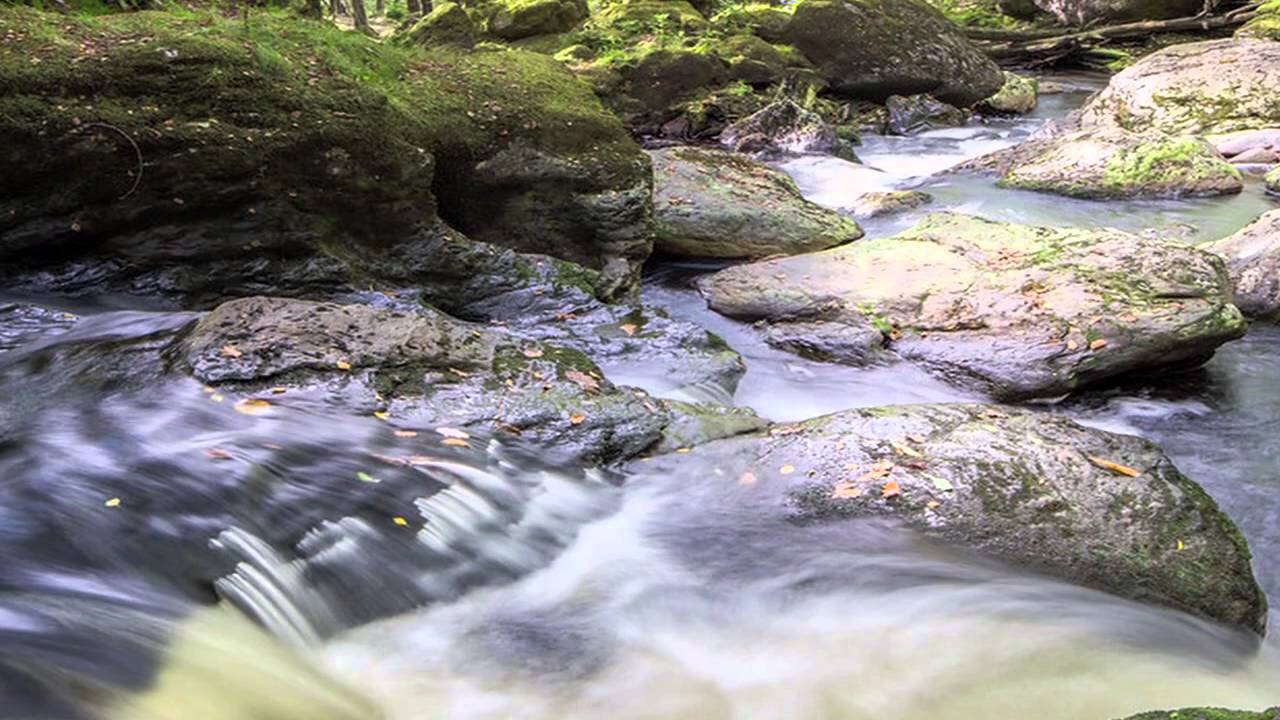 Sir Andrew Motion reads 'Inversnaid' poem - YouTube