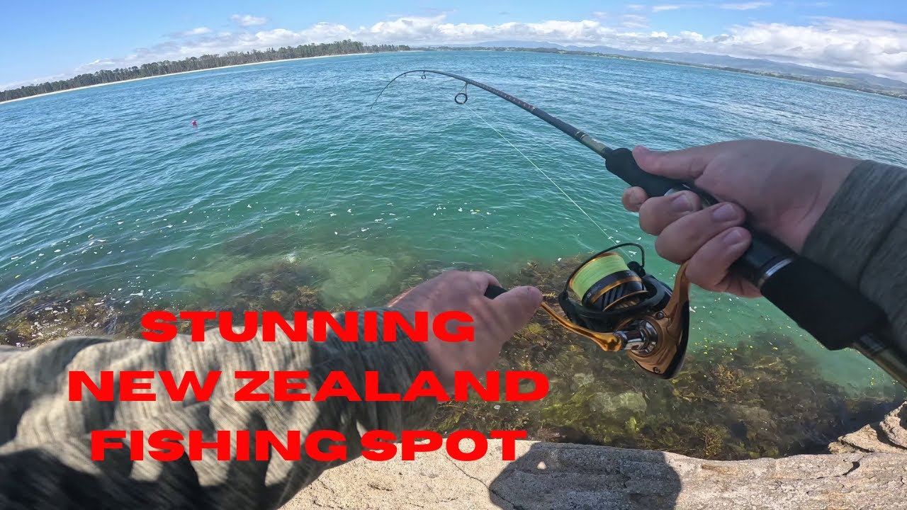 Can New Zealand Fishing Get Any More Beautiful, Bowentown Fishing From ...