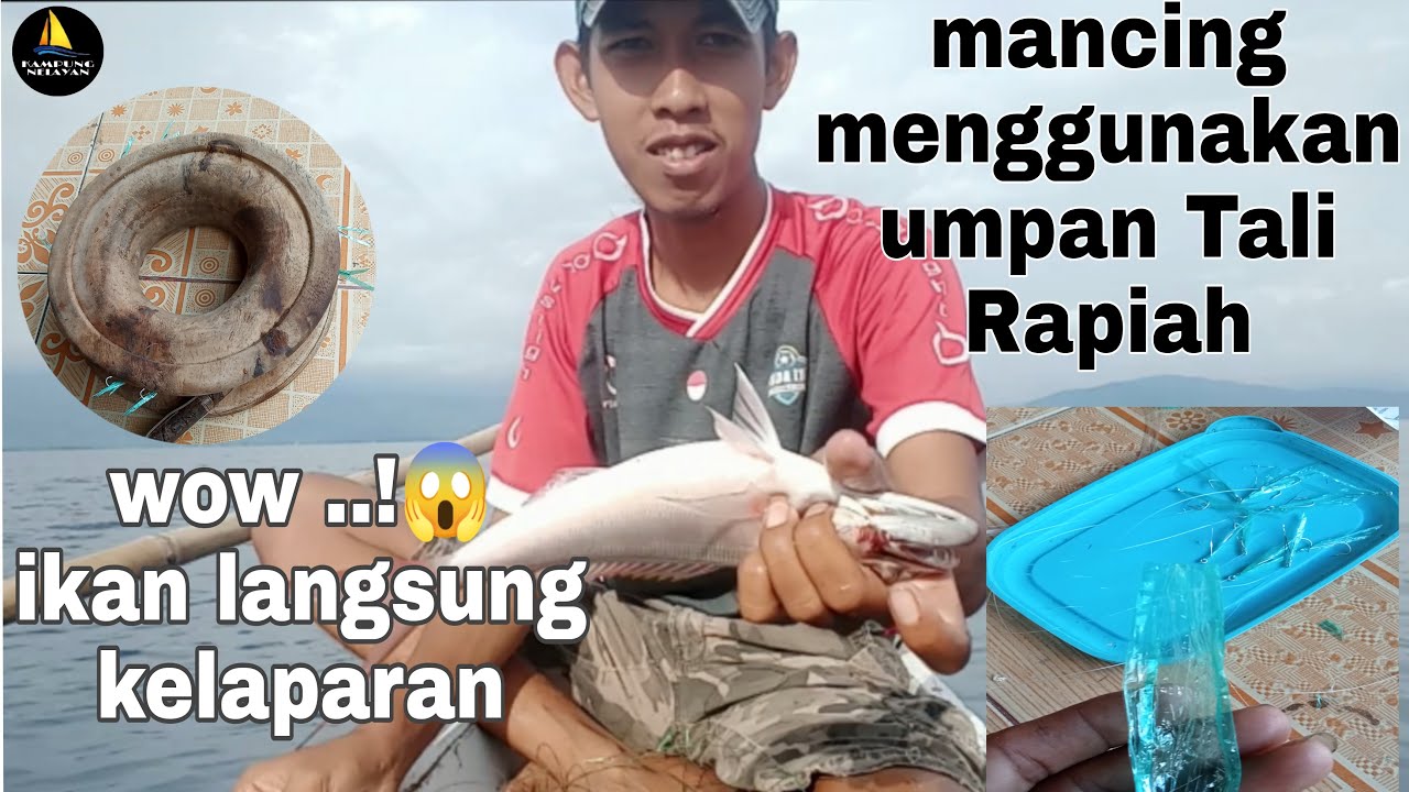 mancing dasaran tradisional..!! Mancing pakai umpan jitu tali rapiah # ...