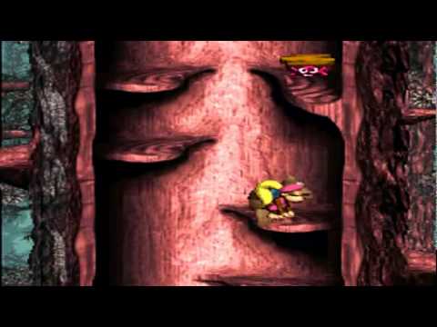 Donkey Kong Country 3 105% | Part 10 (Springin' Spiders) - YouTube