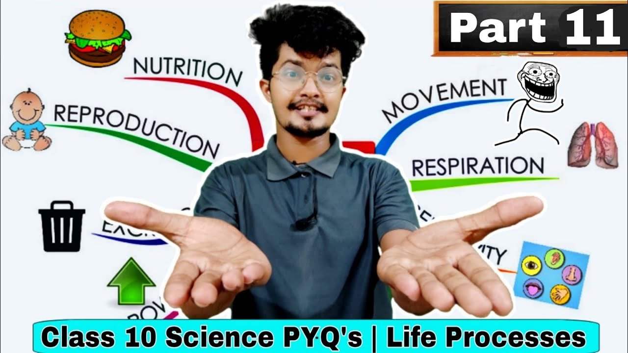 Class 10 Biology chapter 6 Life Processes | Previous year question |PYQ ...