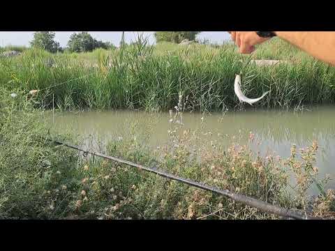 Super balıq ovu at çək beh beh  istesez konum ata bilərəm 