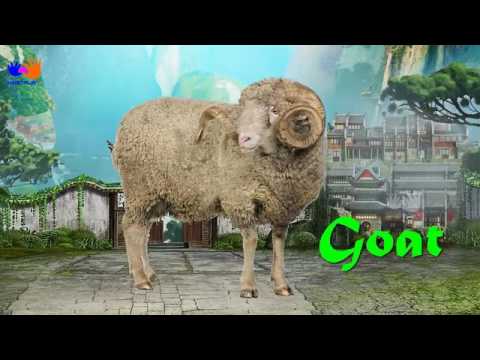 Learn Animals names and Sounds For Kids With Kung Fu Panda film   Hand Play TV