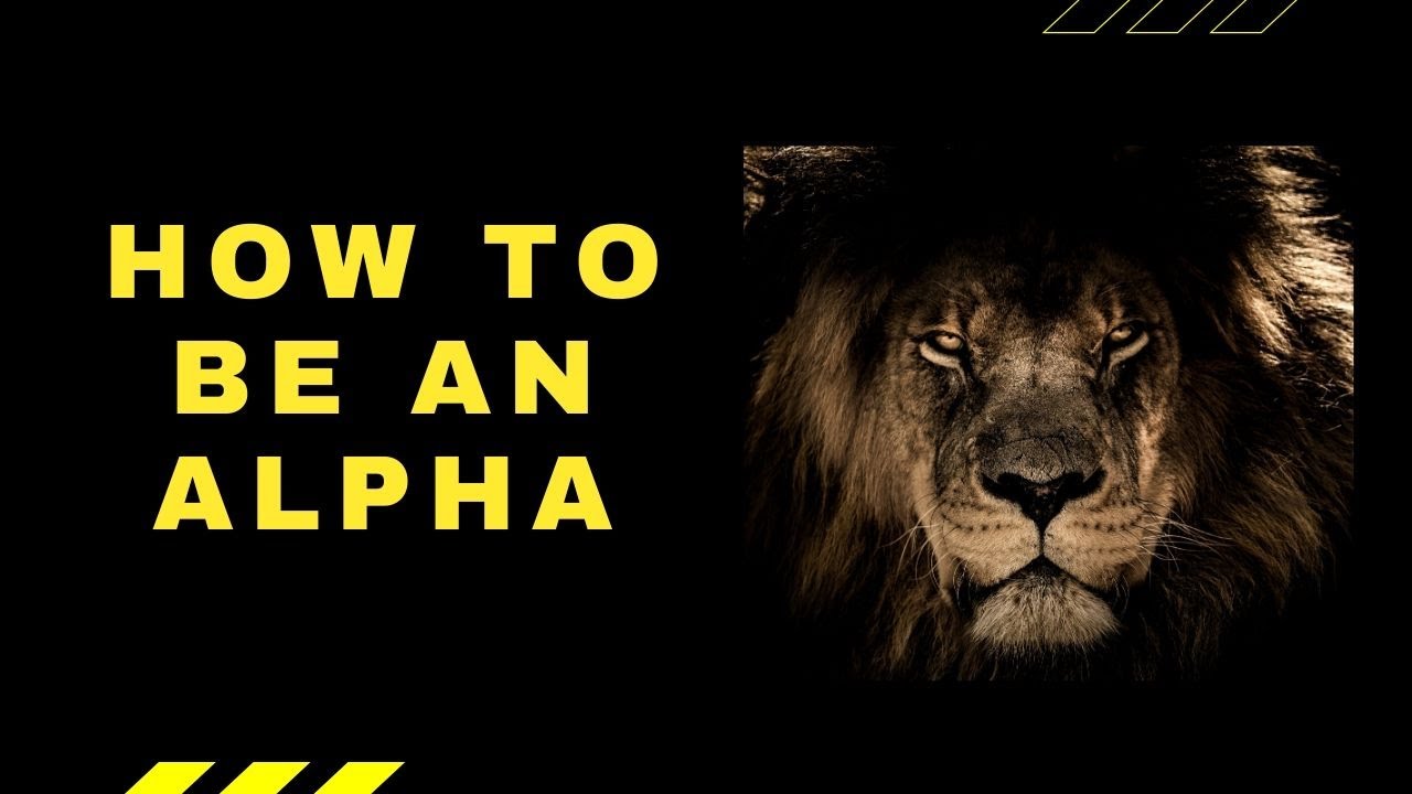 how to be an alpha | build personality like lion | Leader - YouTube
