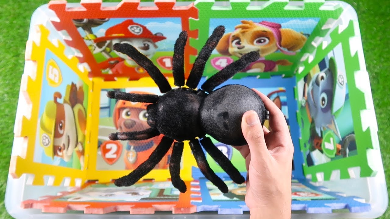 Characters, vehicles & colors: Spider, Peppa Pig, Ben & Holly, Paw ...