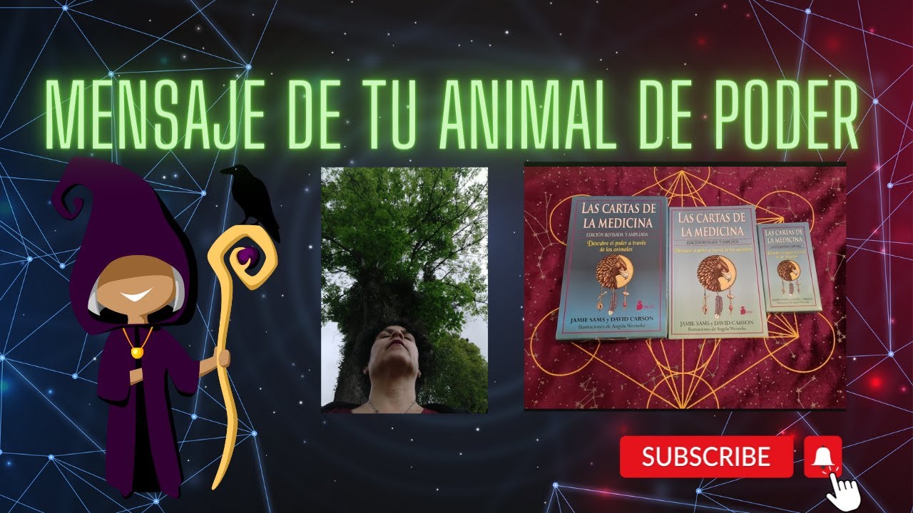 MENSAJE ANIMAL DE PODER CARTAS MEDICINA - YouTube