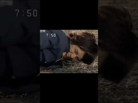 Wolzard Fire Vs Hades Warrior Wyvern