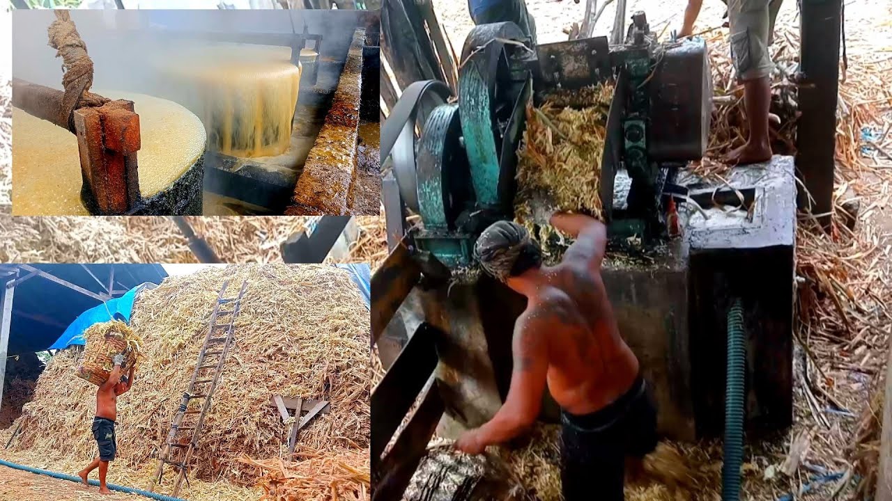 GILING TEBU//PABRIK TEBU - YouTube