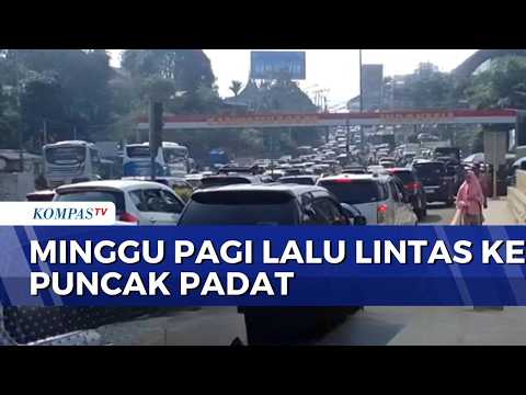 Libur Sekolah dan Akhir Pekan, Jalur Puncak Padat Polisi Terapkan One Way