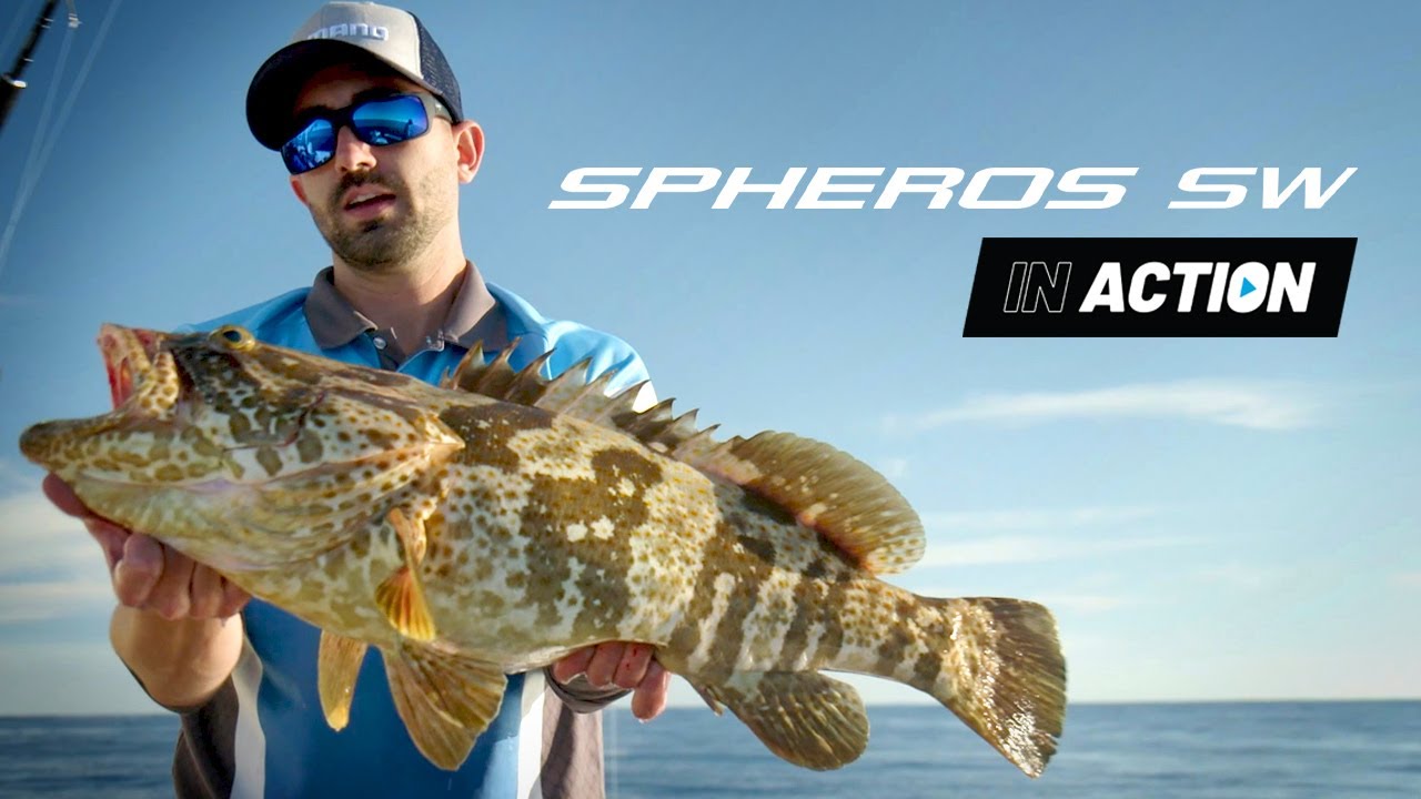 Shimano Spheros SW – Bats Brothers turn bait into big fish! - YouTube