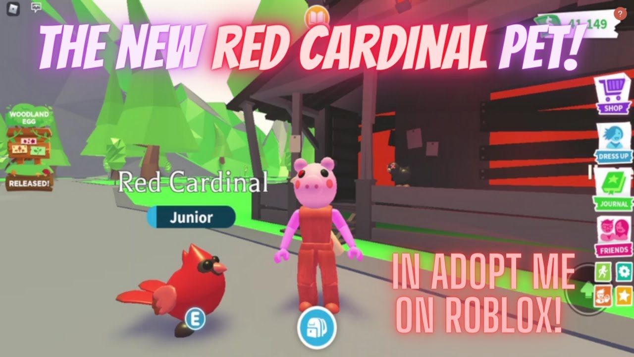 New RED CARDINAL pet in Adopt Me in Roblox! 🐦 - YouTube