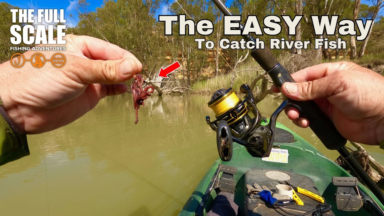 The Easy Way To Catch A River Fish | The Full Scale - YouTube