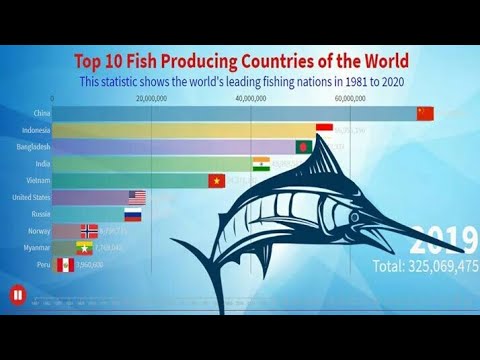 Top 10 Largest Fish Producing Countries In The World 1981 to 2020 - YouTube