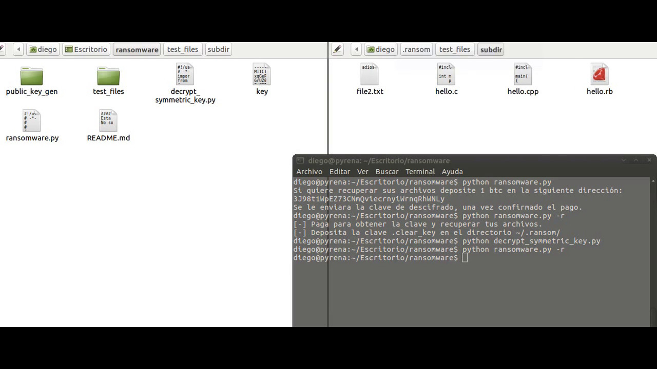 python-ransomware - YouTube
