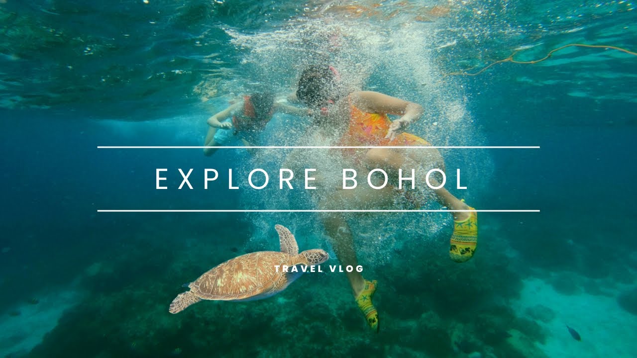 BOHOL SNORKELING & TURTLE WATCHING - YouTube