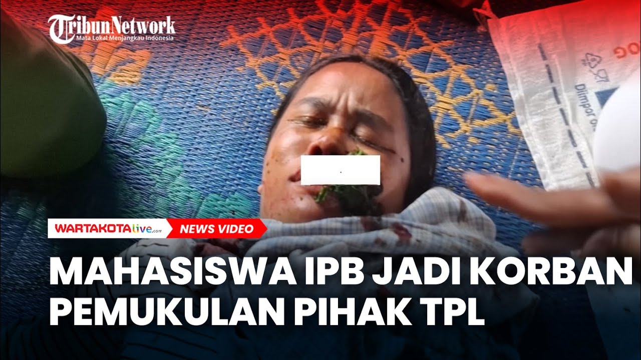 Mahasiswa IPB University Sedang Penelitian Skripsi Jadi Korban ...