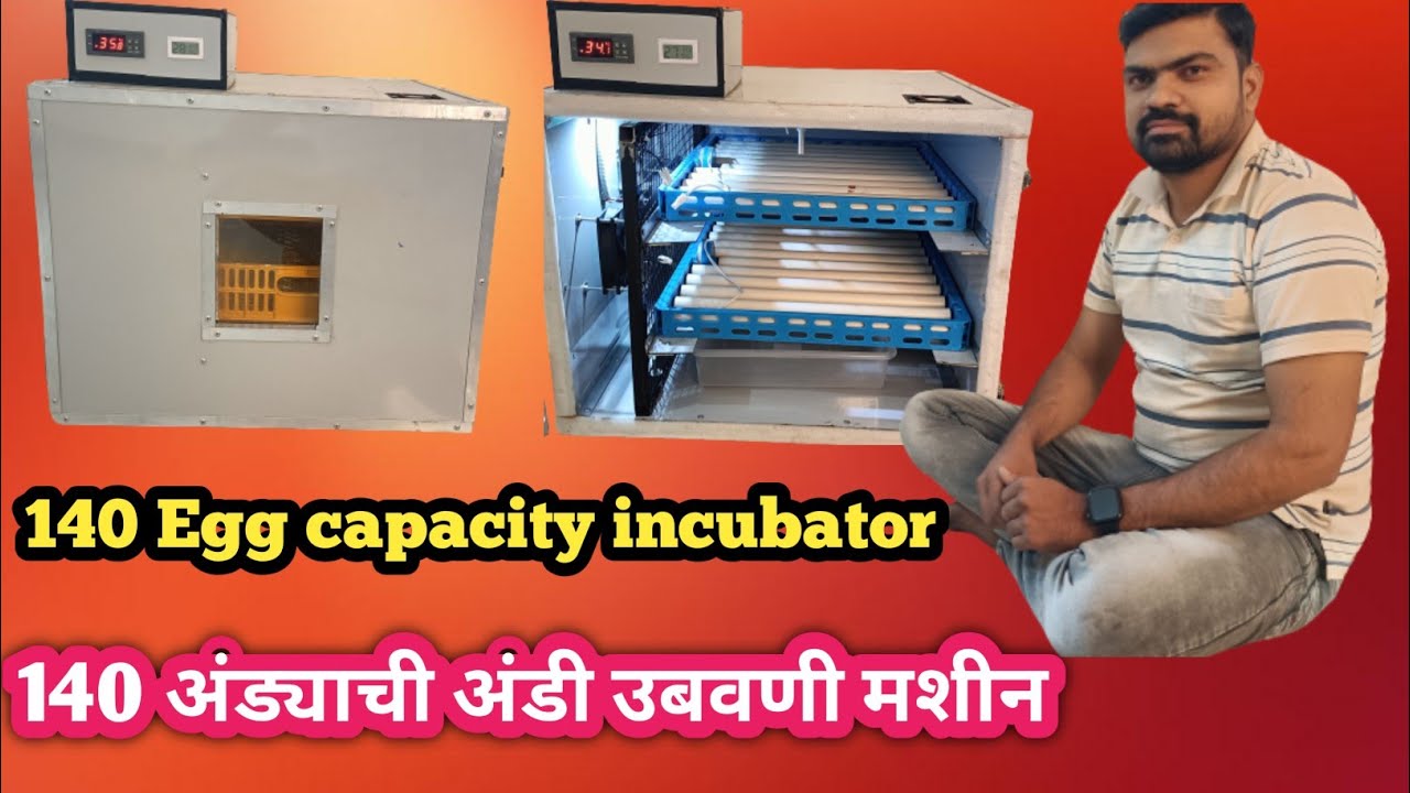 140 Egg capacity incubator |140 अंड्याची अंडी उबवणी मशीन - YouTube