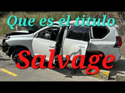 Que es el titulo salvage ️ ️ ️ - YouTube