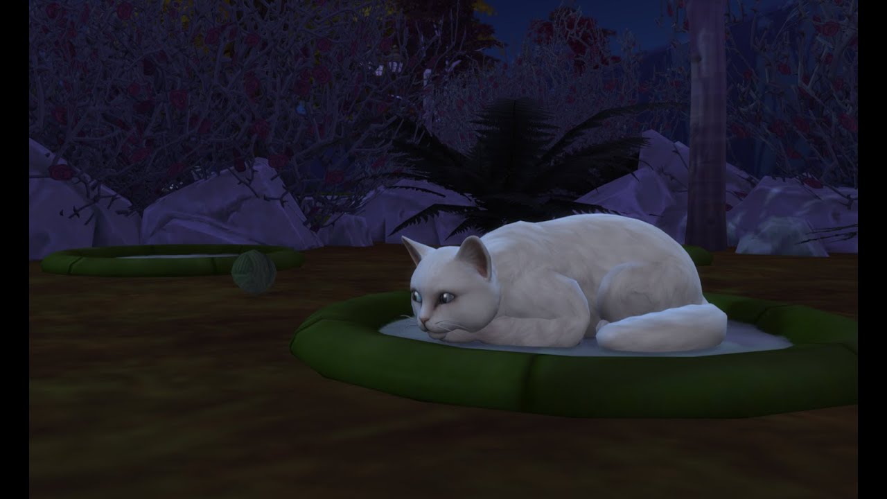 An Argument | Warrior Cats Sims 4 Legacy | ep11 - YouTube