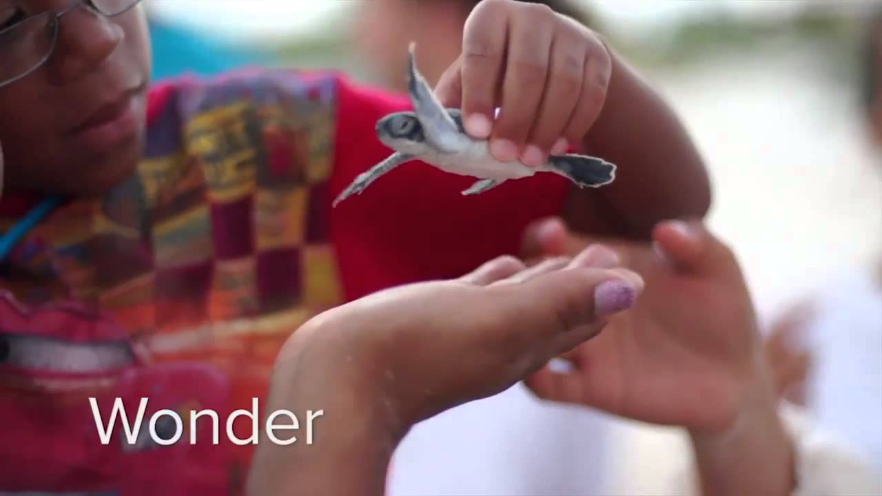 WorldVentures Manifesto Wayne Nugent, Mike Azcue - YouTube