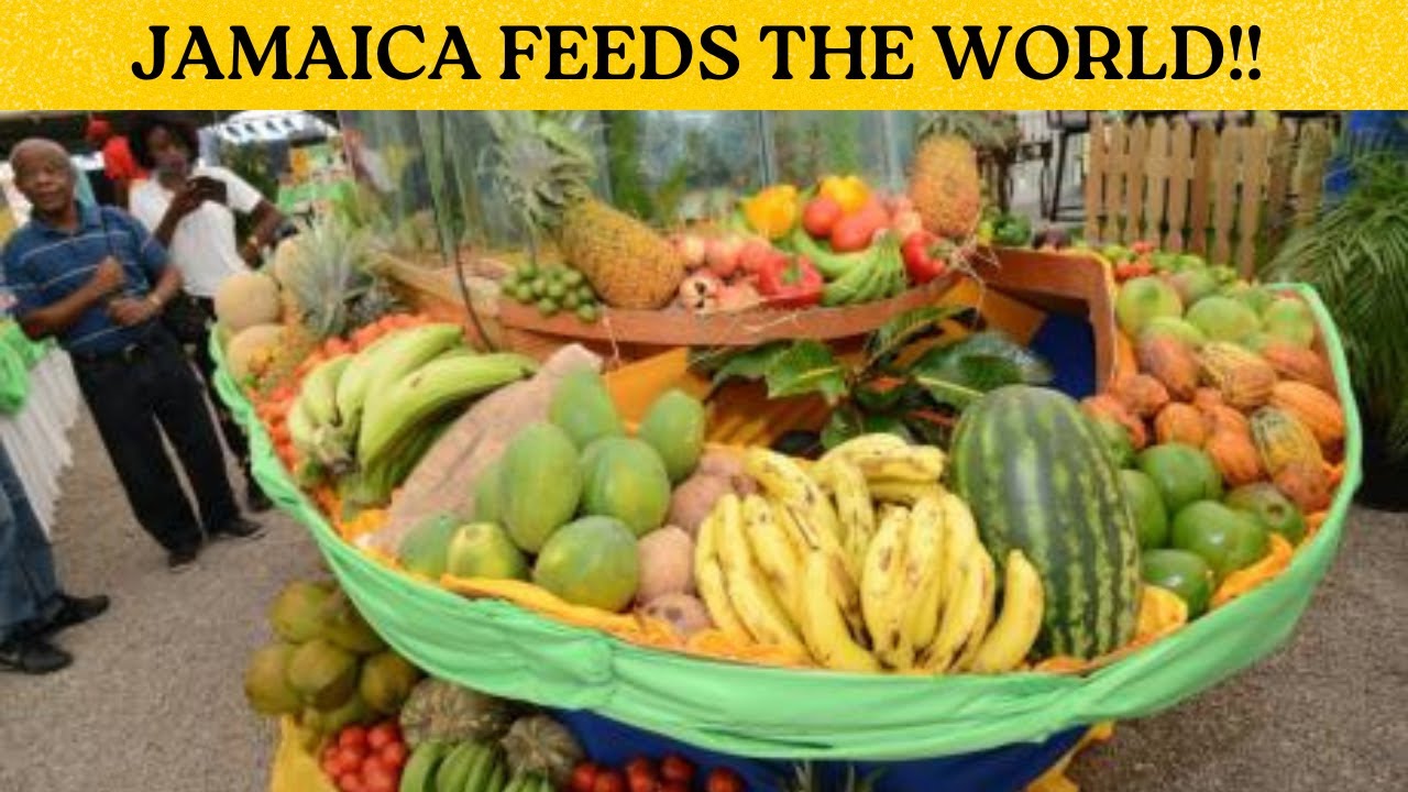 The only certified organic farm in Jamaica .Is this the reason Jamaica ...