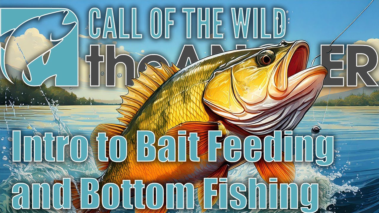 Introduction to Bait Feeding and Bottom Fishing | Call of the Wild ...
