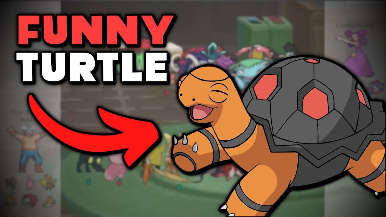 Shell Smash Torkoal????? Pokemon Scarlet and Violet Draft League - YouTube